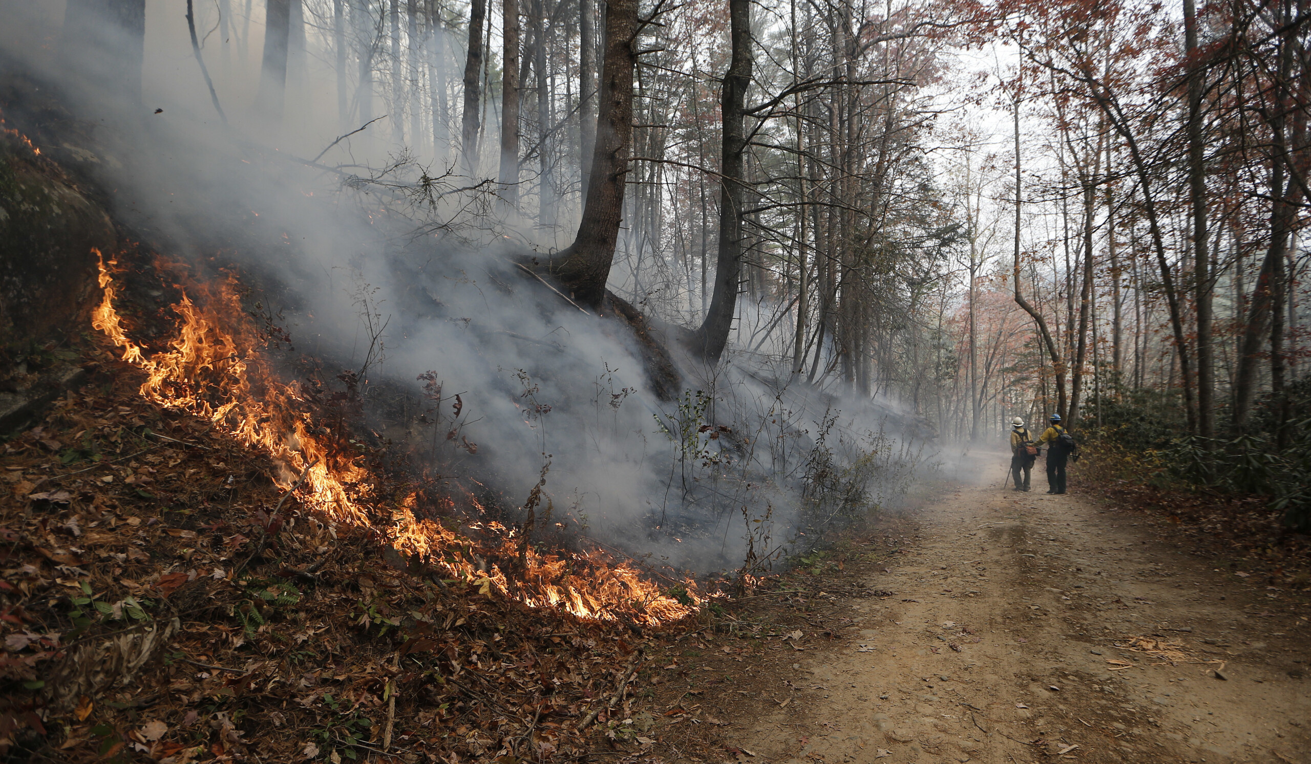 Burn order lifted for the southern half of Alabama - WAKA 8