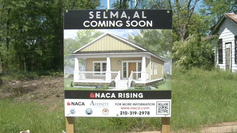 Selma neighborhood revitalization project beginning to take shape - WAKA 8