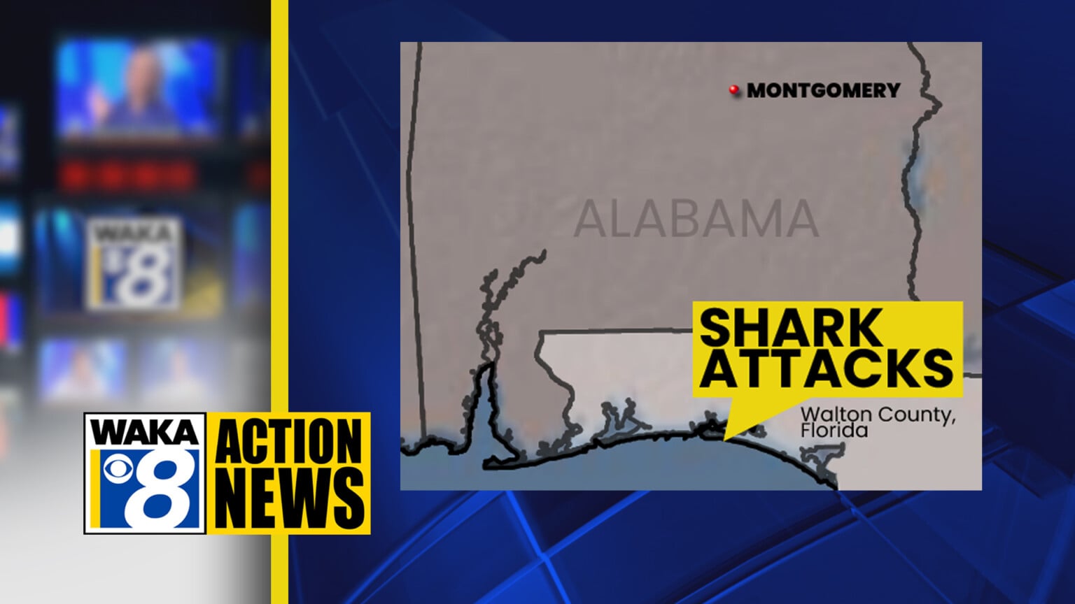 Three hurt, including two Alabama teenagers, in two shark attacks near ...