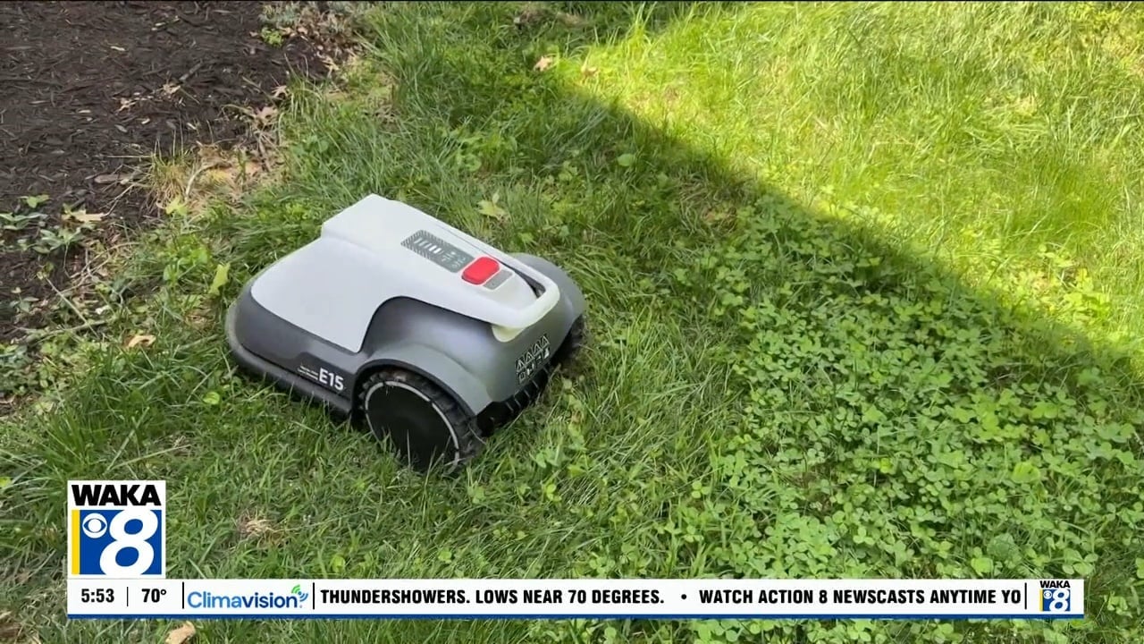 What The Tech - WAKA 8