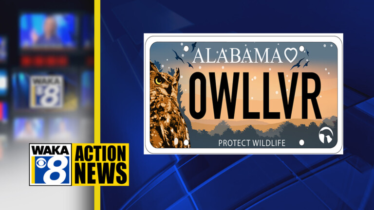 New Alabama Wildlife Center car tag design unveiled - WAKA 8