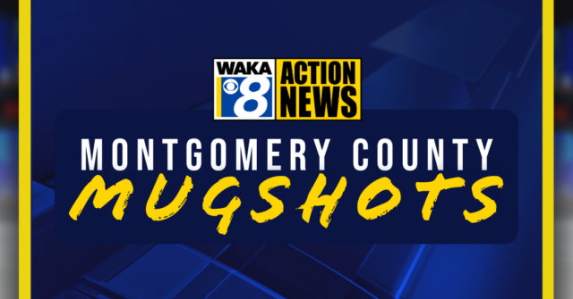 Mugshots - WAKA 8
