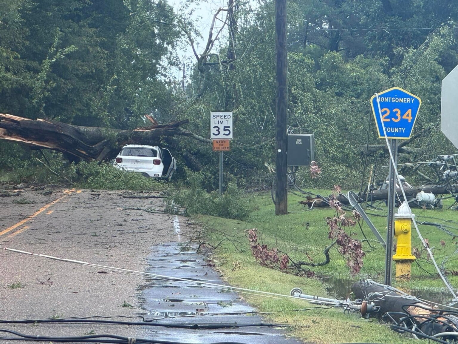 Fallen tree causes temporary road closure in Montgomery County - WAKA 8