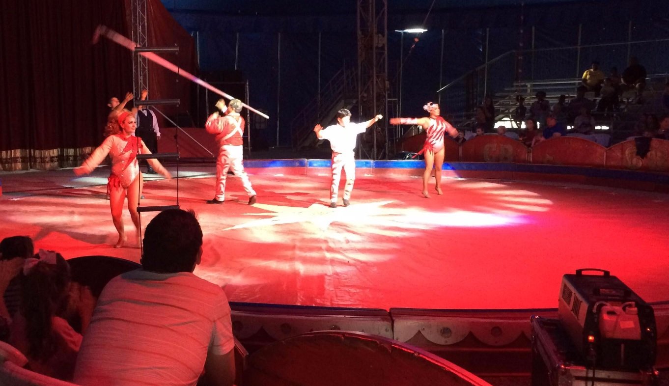 Families enjoy Al Chymia Shrine Circus in Jackson - WBBJ TV