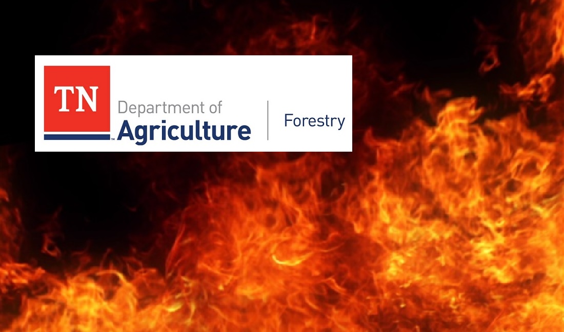Tennessee Division of Forestry appoints new fire chief - WBBJ TV
