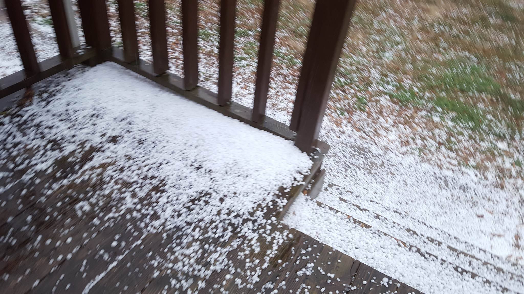 hail-in-bemis-patricia-walker - WBBJ TV