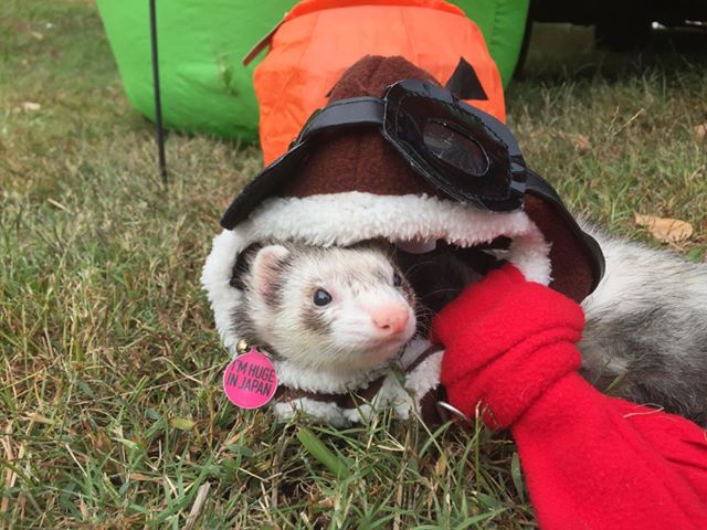 Submitted-by-Sarah-Tollette - WBBJ TV