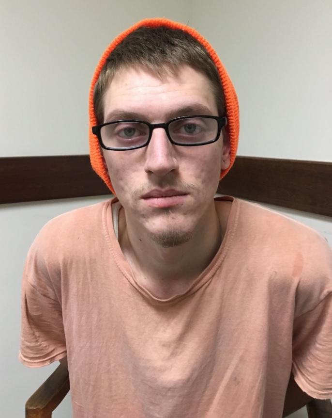 Dylan-Ferguson-in-custody - WBBJ TV