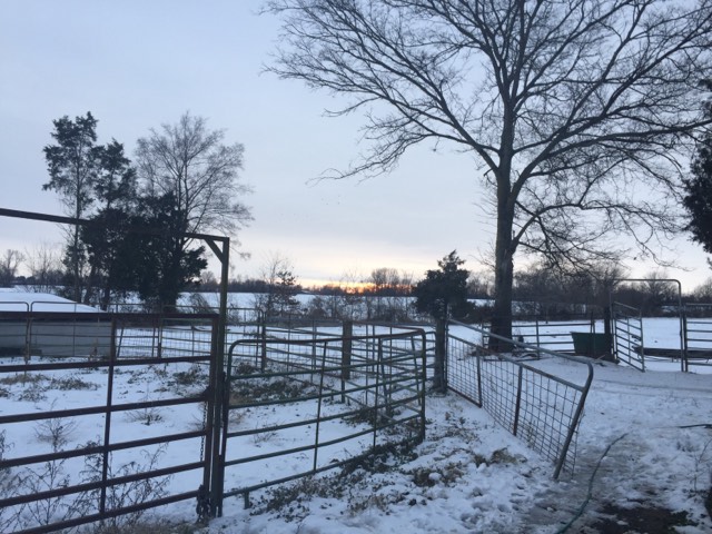 L-Ashley-Landrum - WBBJ TV