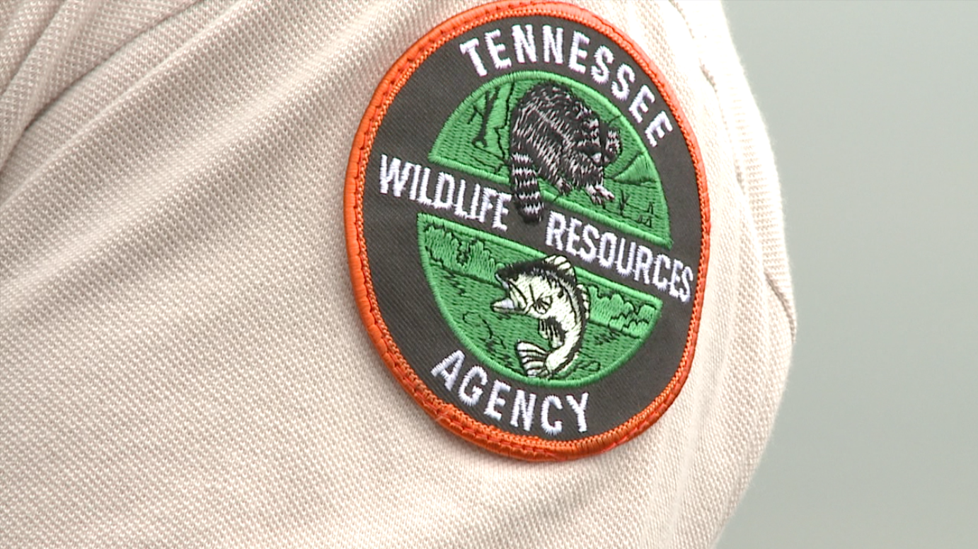 TWRA announces application period for WMA Big Game Quota Hunts - WBBJ TV