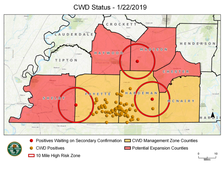 TWRA says chronic wasting disease zone could expand to Madison, Haywood ...