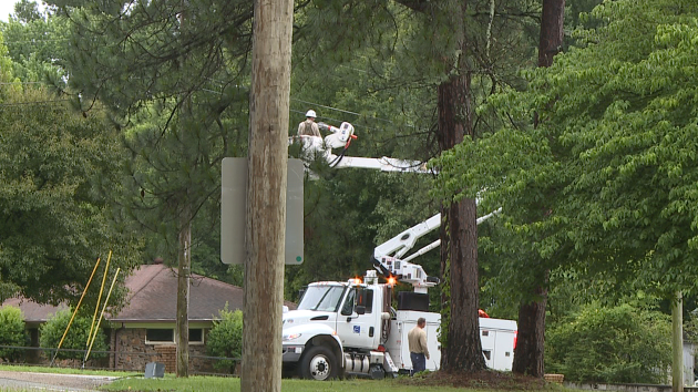 Experts offer tips to avoid tree-related power outages - WBBJ TV