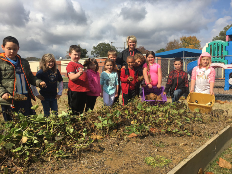 Weakley Co. schools receive 'farm to school' grants - WBBJ TV