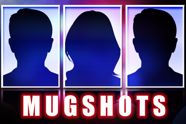 mugshots - WBBJ TV