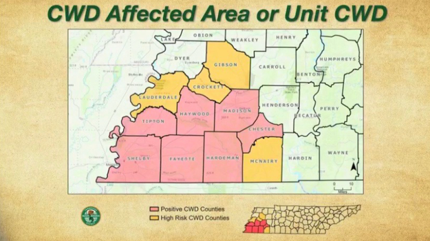 TWRA changes hunting regulations, works to contain chronic wasting ...