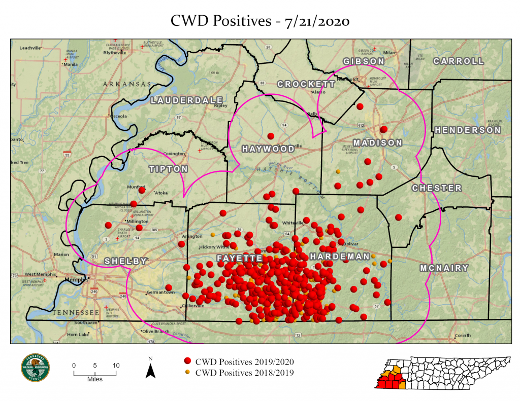TWRA discusses permit requirements for landowners in Unit CWD - WBBJ TV