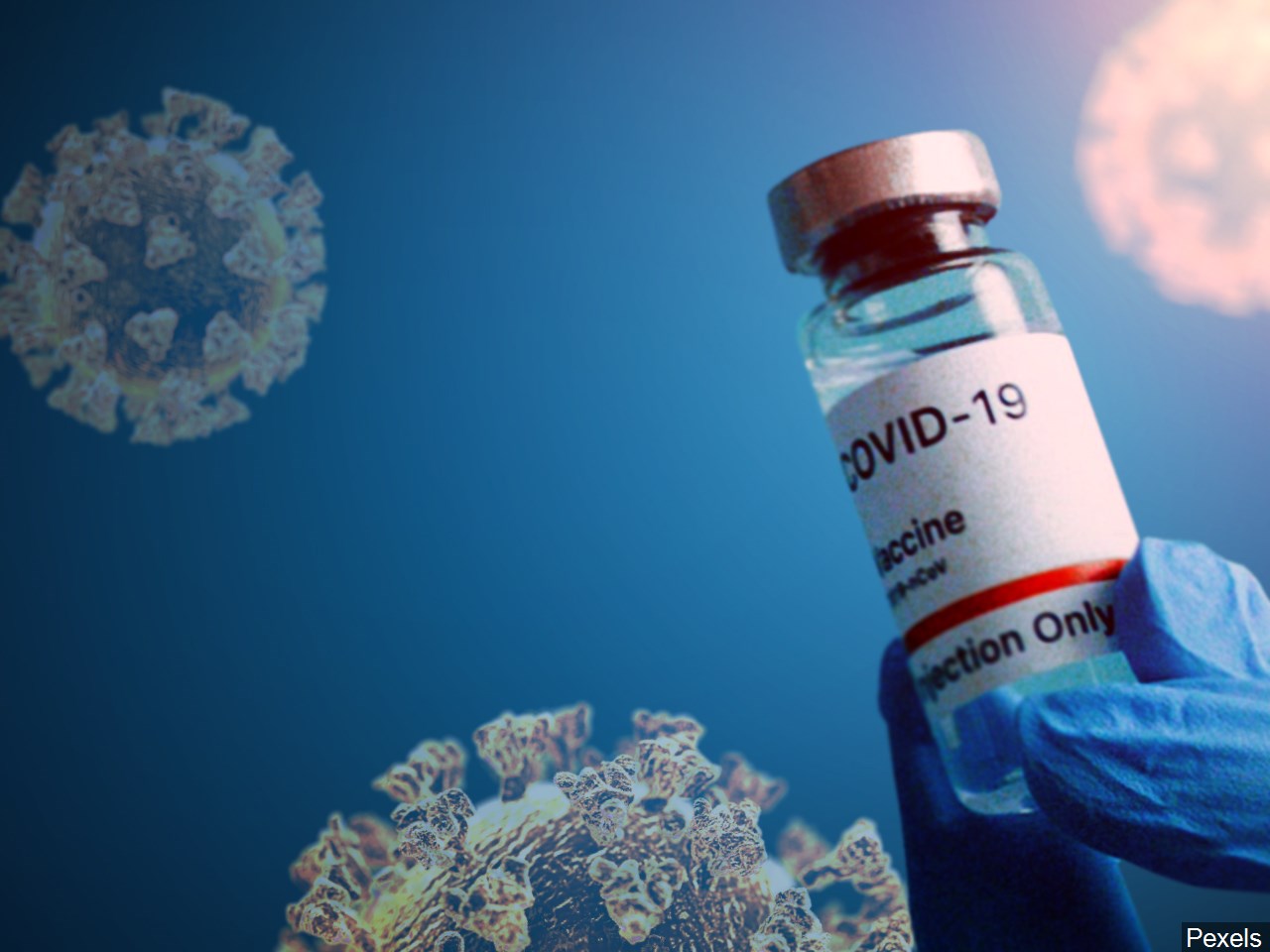 Interactive map shows vaccination rates across US - WBBJ TV