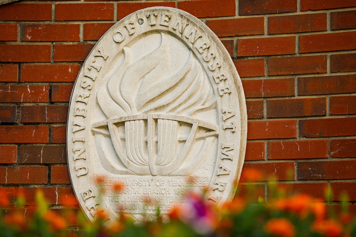 UT Martin has open ACT summer sessions - WBBJ TV