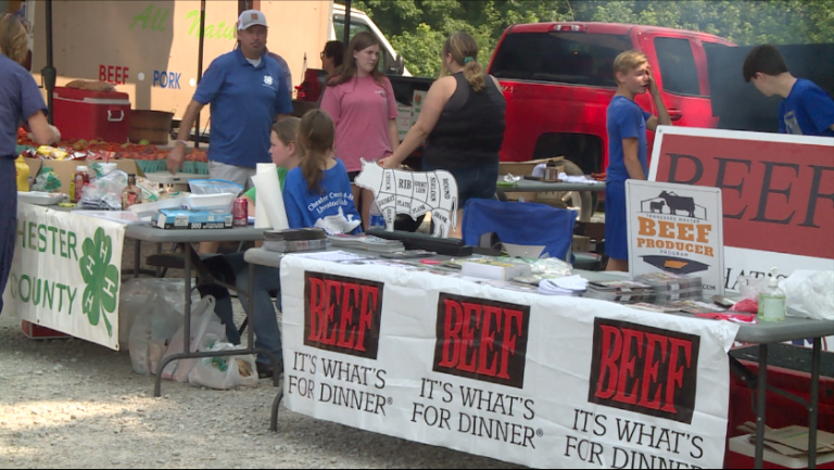 UT Ag hosts 'Beef Day' at local farmers market - WBBJ TV