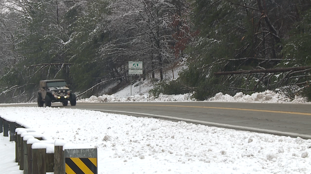 South Hardin Co. sees significant snowfall - WBBJ TV