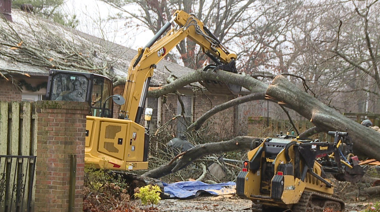 Jackson couple okay after tree falls into bedroom - WBBJ TV