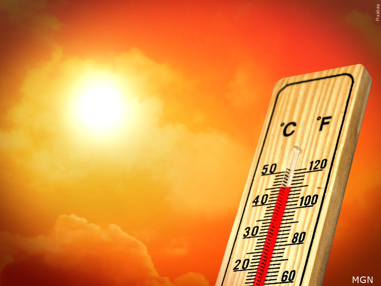 Hot car safety tips - WBBJ TV