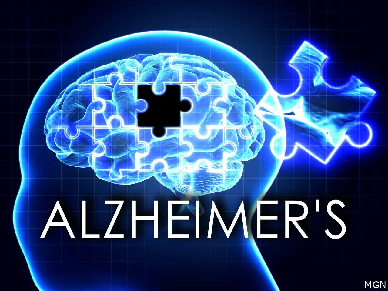 Activist looks for support in fight against Alzheimer's - WBBJ TV