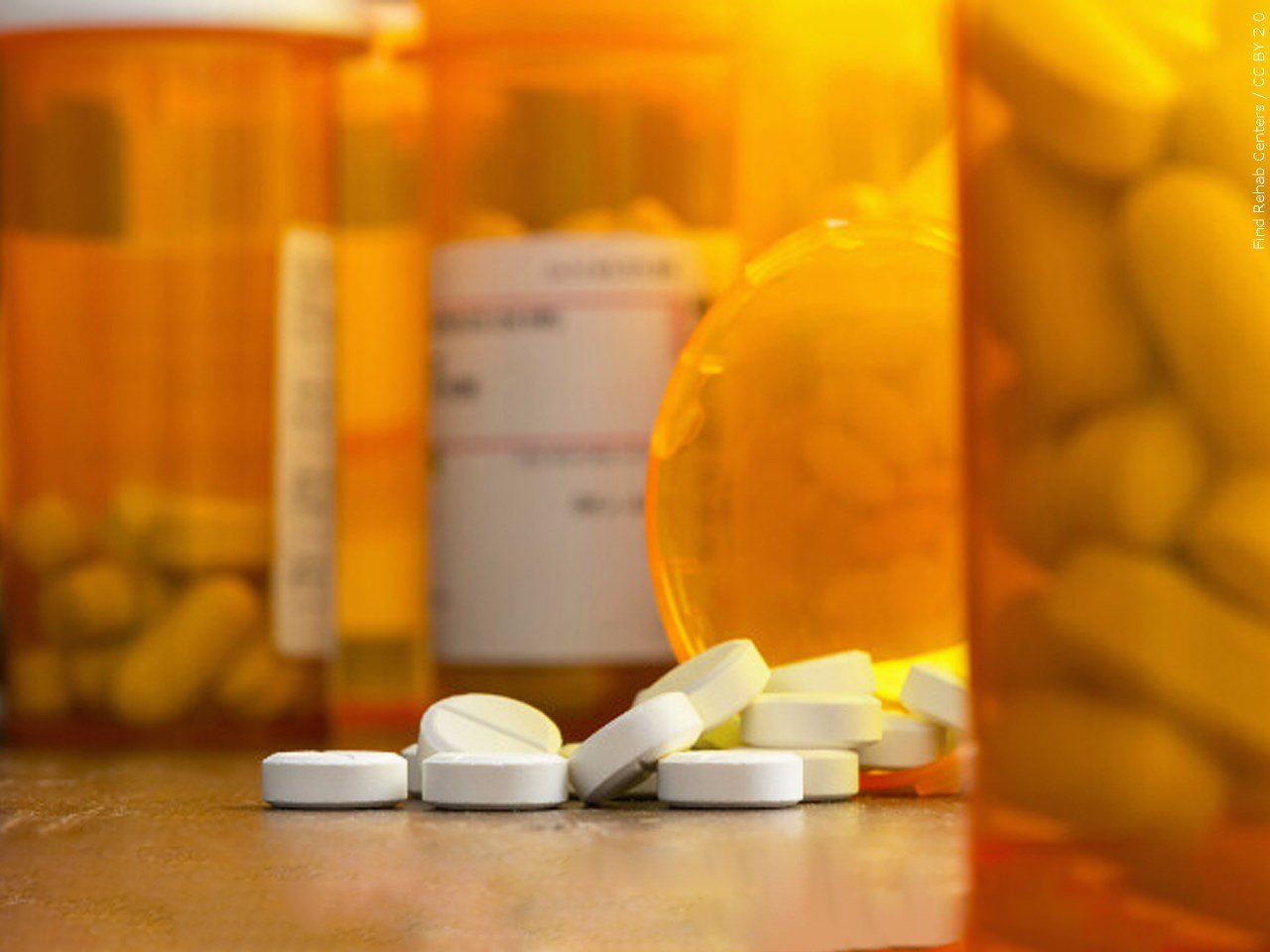 Former co-owner of local medical clinic sentenced in opioid ...