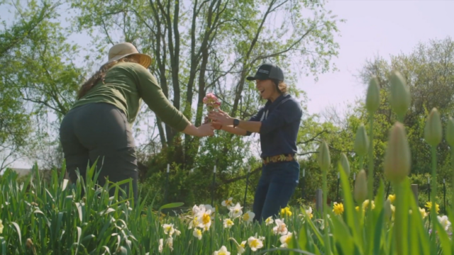 Random Act of Kindness Day is Friday - WBBJ TV