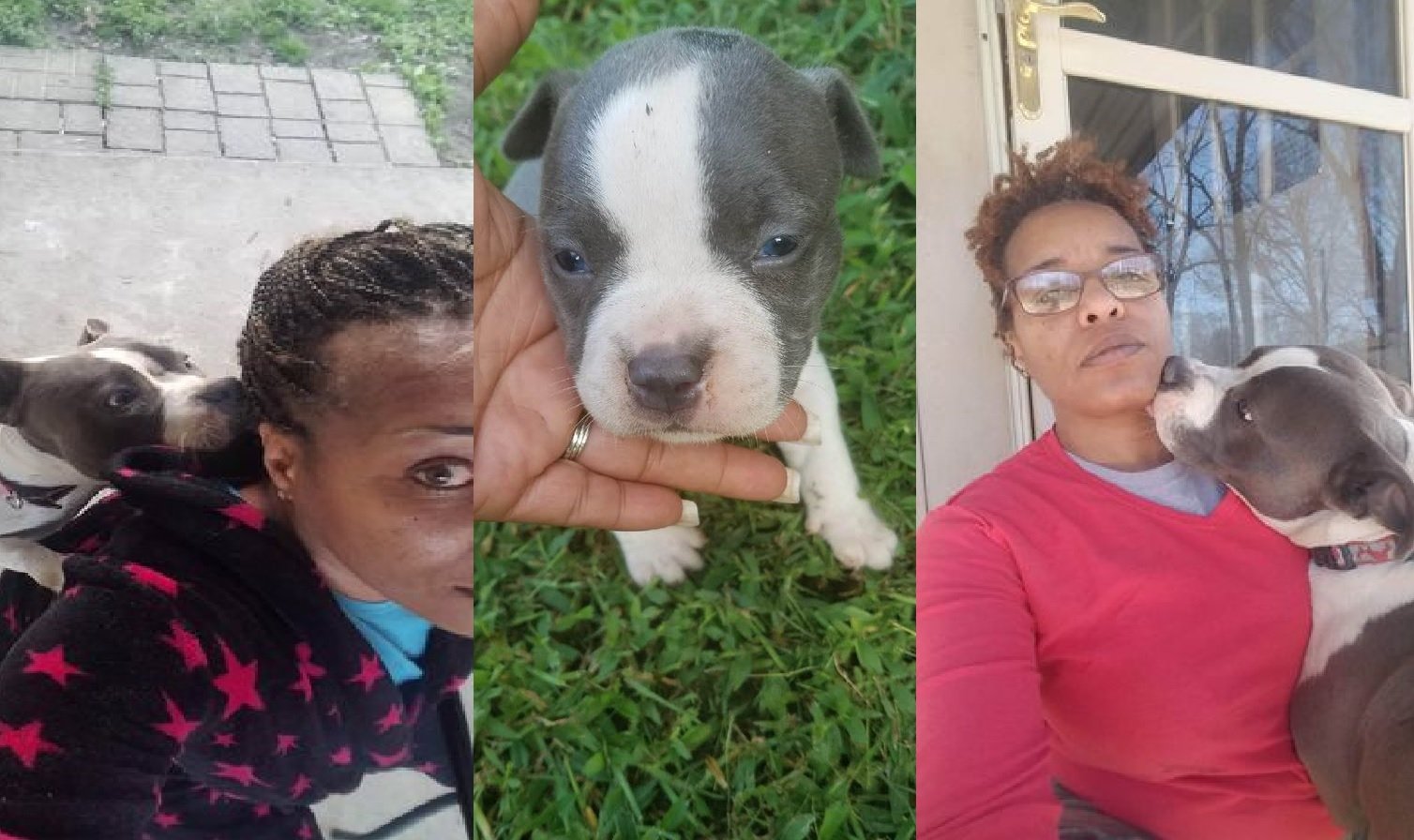 Woman demands answers after dog was euthanized - WBBJ TV