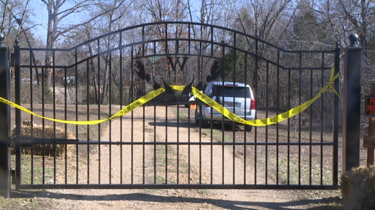 Hearing reveals details in Watson murder case - WBBJ TV