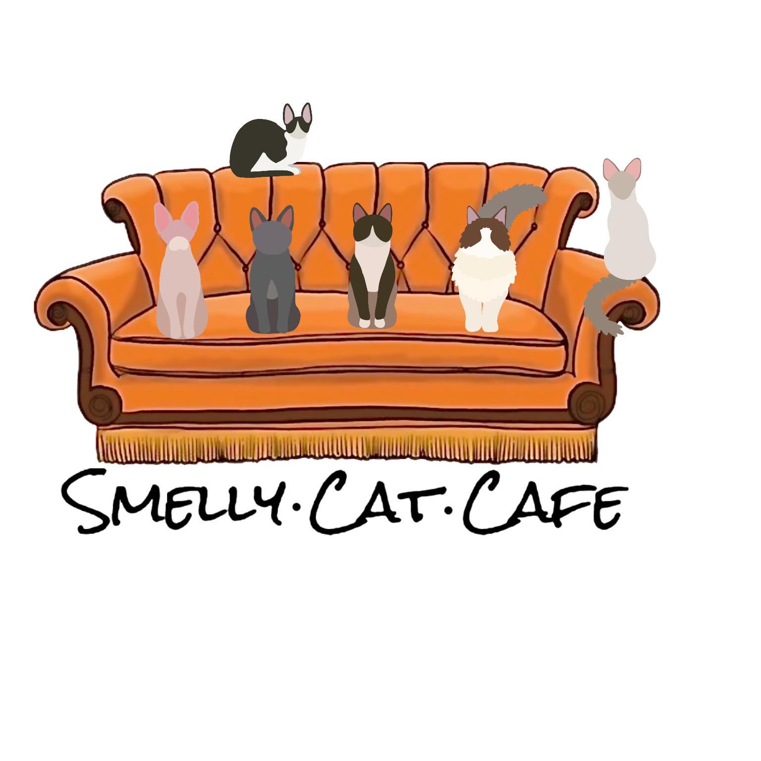 Tennessee cat adoption shop takes name from "Friends" beloved smelly ...