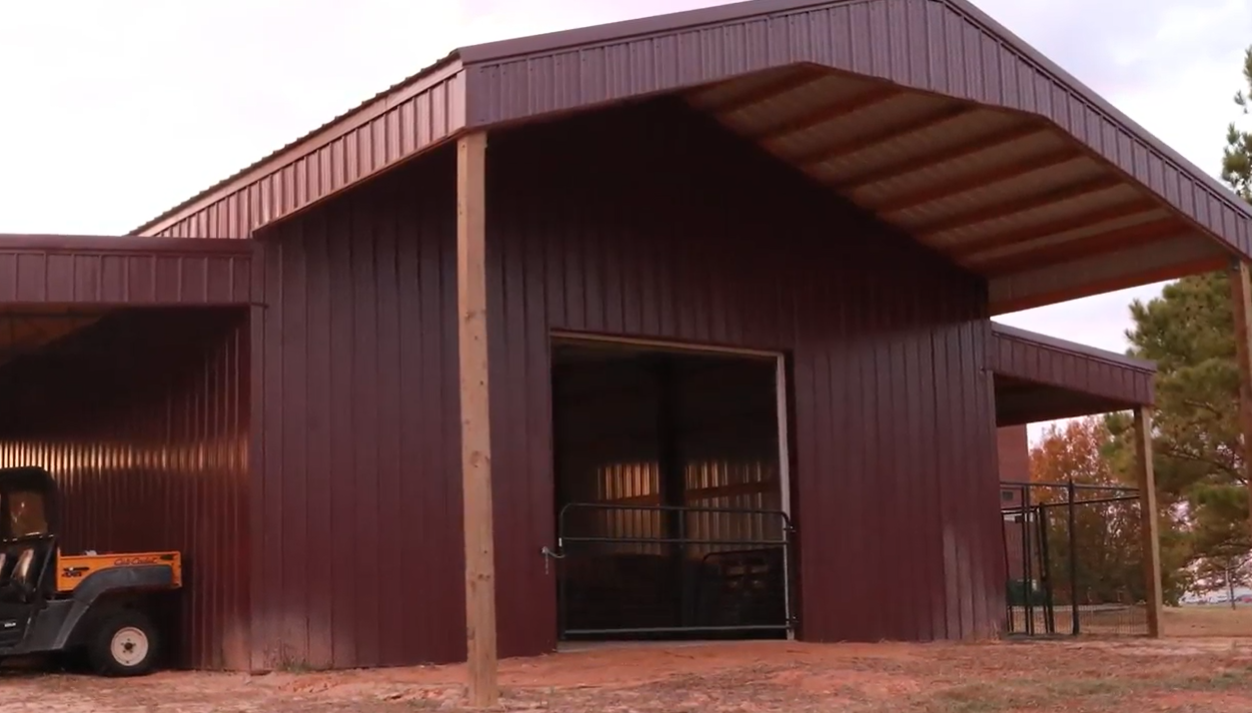 Liberty Tech celebrates opening of its new therapy barn - WBBJ TV