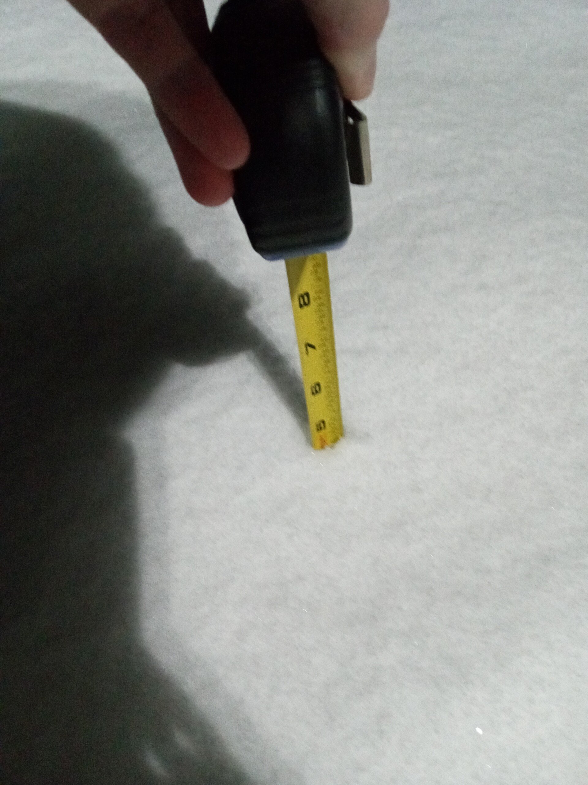 Bella (Finger, TN) - WBBJ TV