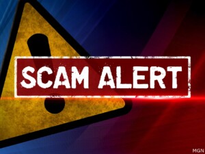 Brushing scams: how to recognize and report them - WBBJ TV
