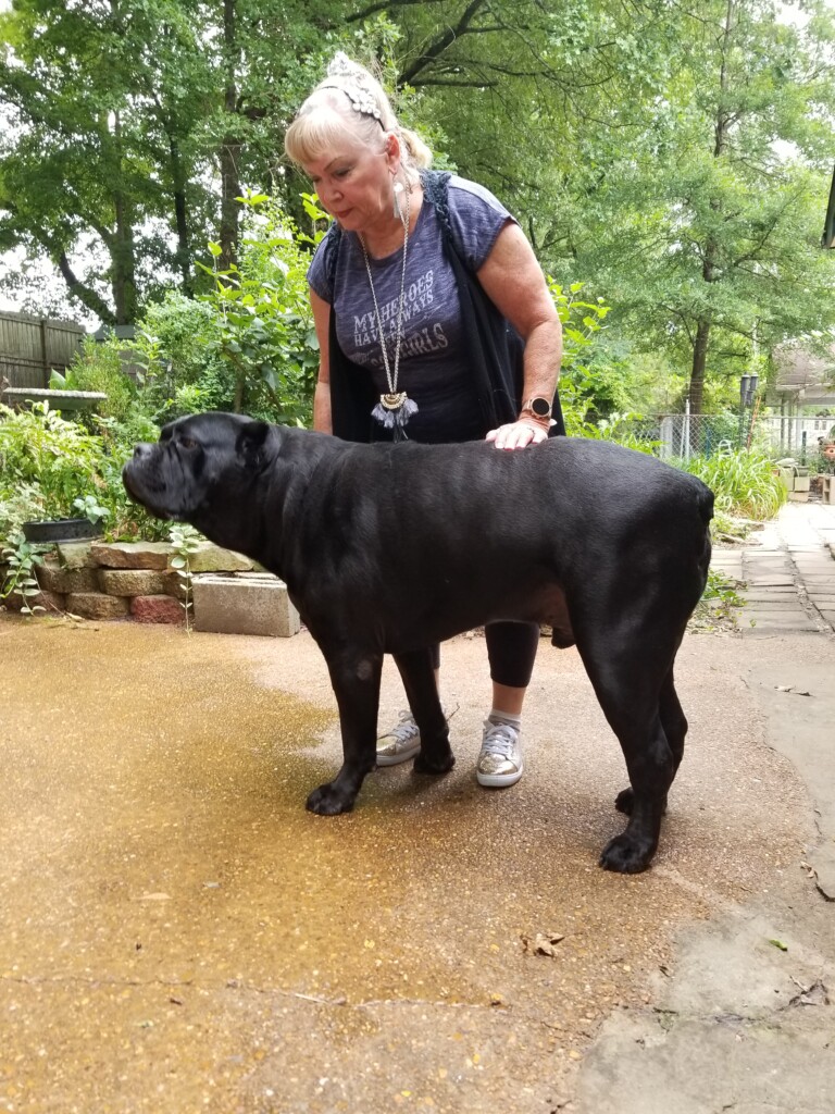 Community Champion: Amber Storey-Knight - WBBJ TV