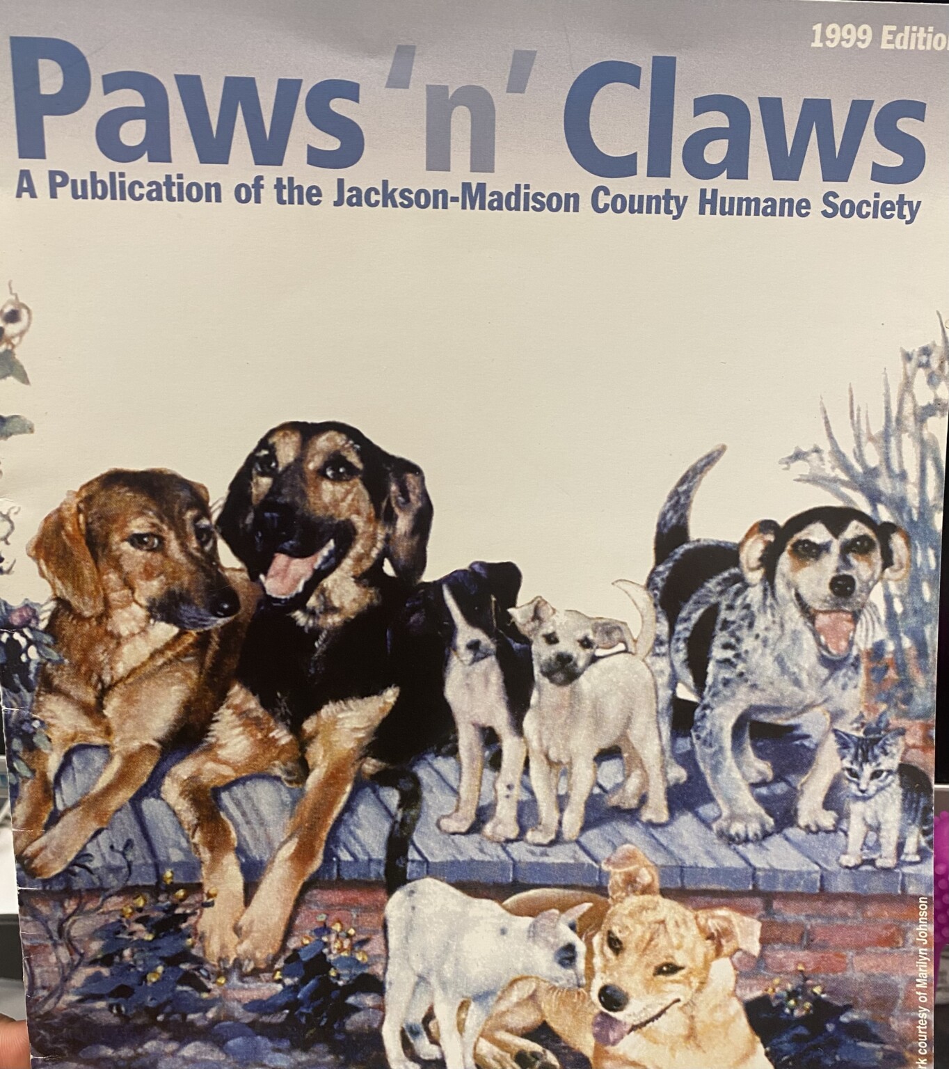 Community Champion: Amber Storey-Knight - WBBJ TV