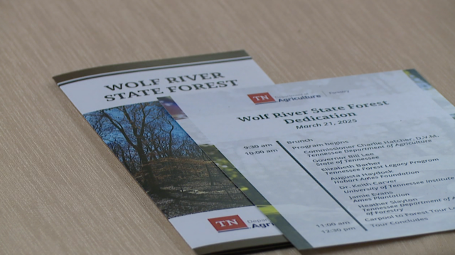 TN celebrates dedication of 16th state forest in Fayette County - WBBJ TV
