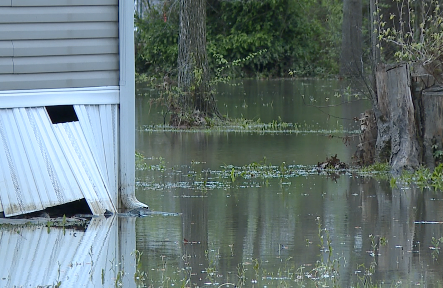 Dyersburg residents still feeling effects of flooding - WBBJ TV