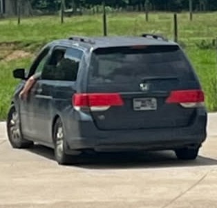 Alamo police searching for theft suspects - WBBJ TV