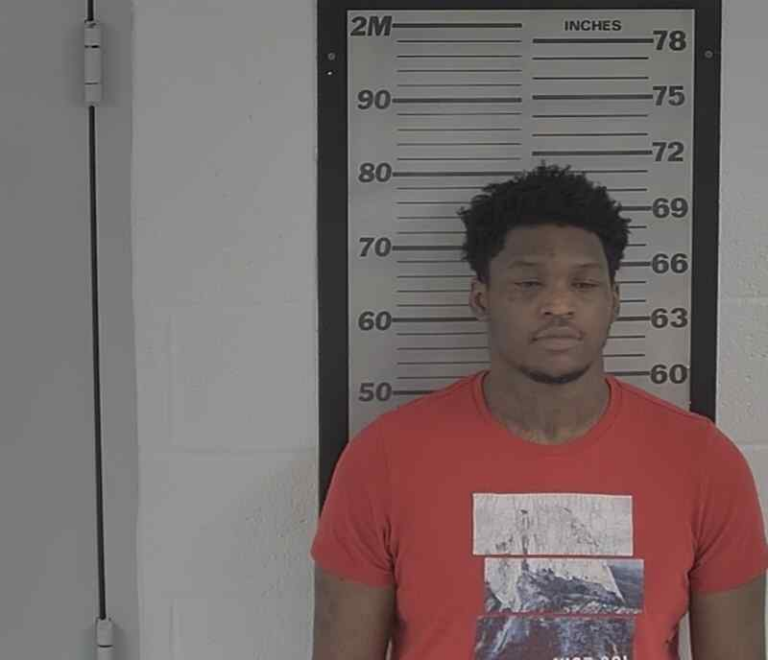 What the Tech: App of the day 'Milanote' - WBBJ TV