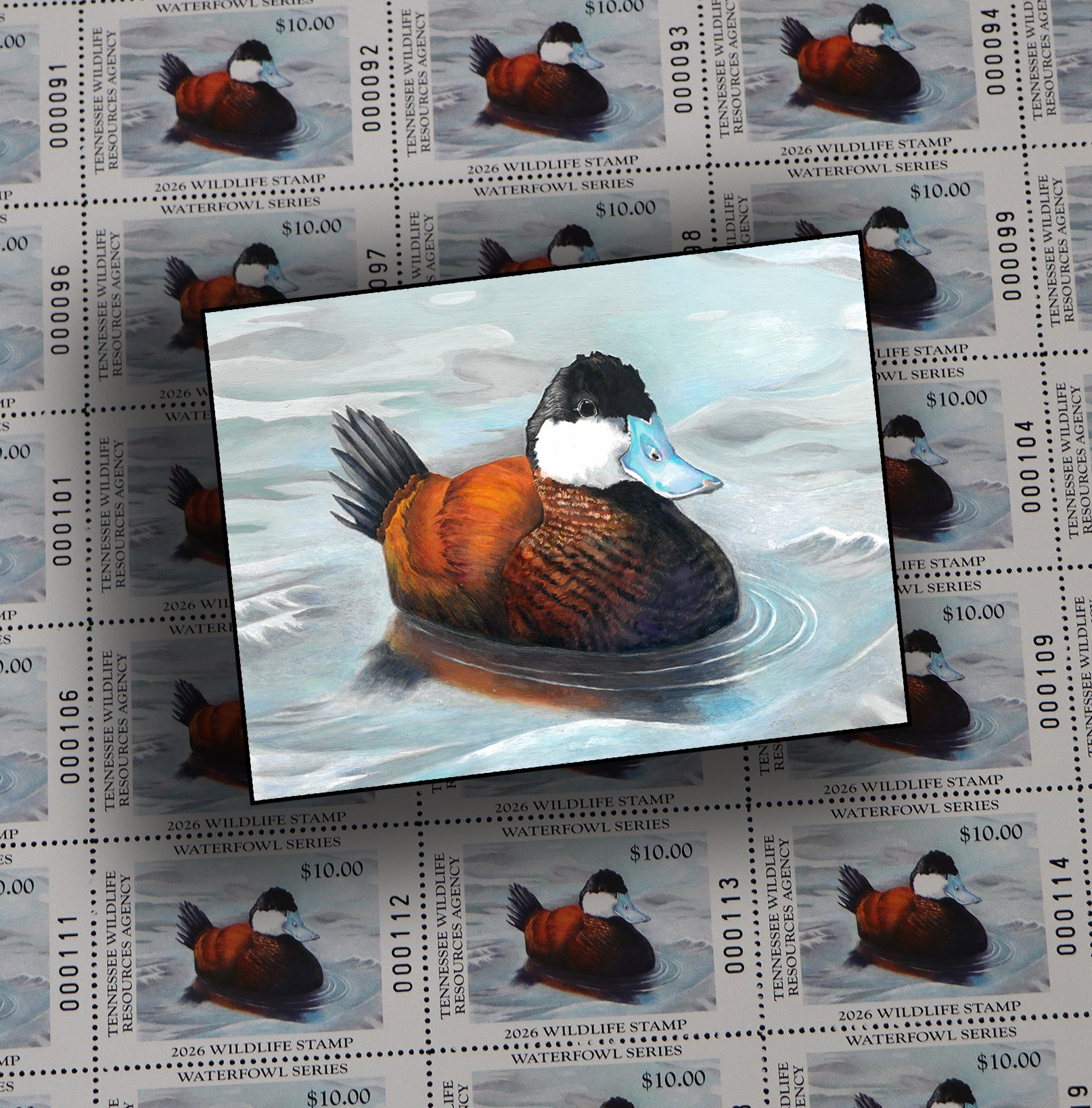 New 2025 collectible waterfowl stamp available through TWRA - WBBJ TV