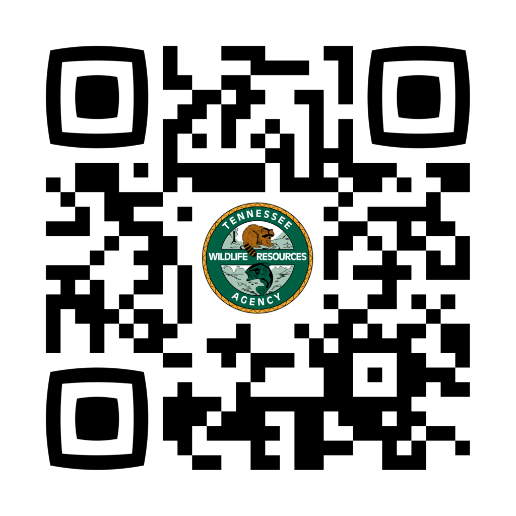 TWRA’s Tennessee Wildlife Magazine 2026-27 photo contest now underway ...