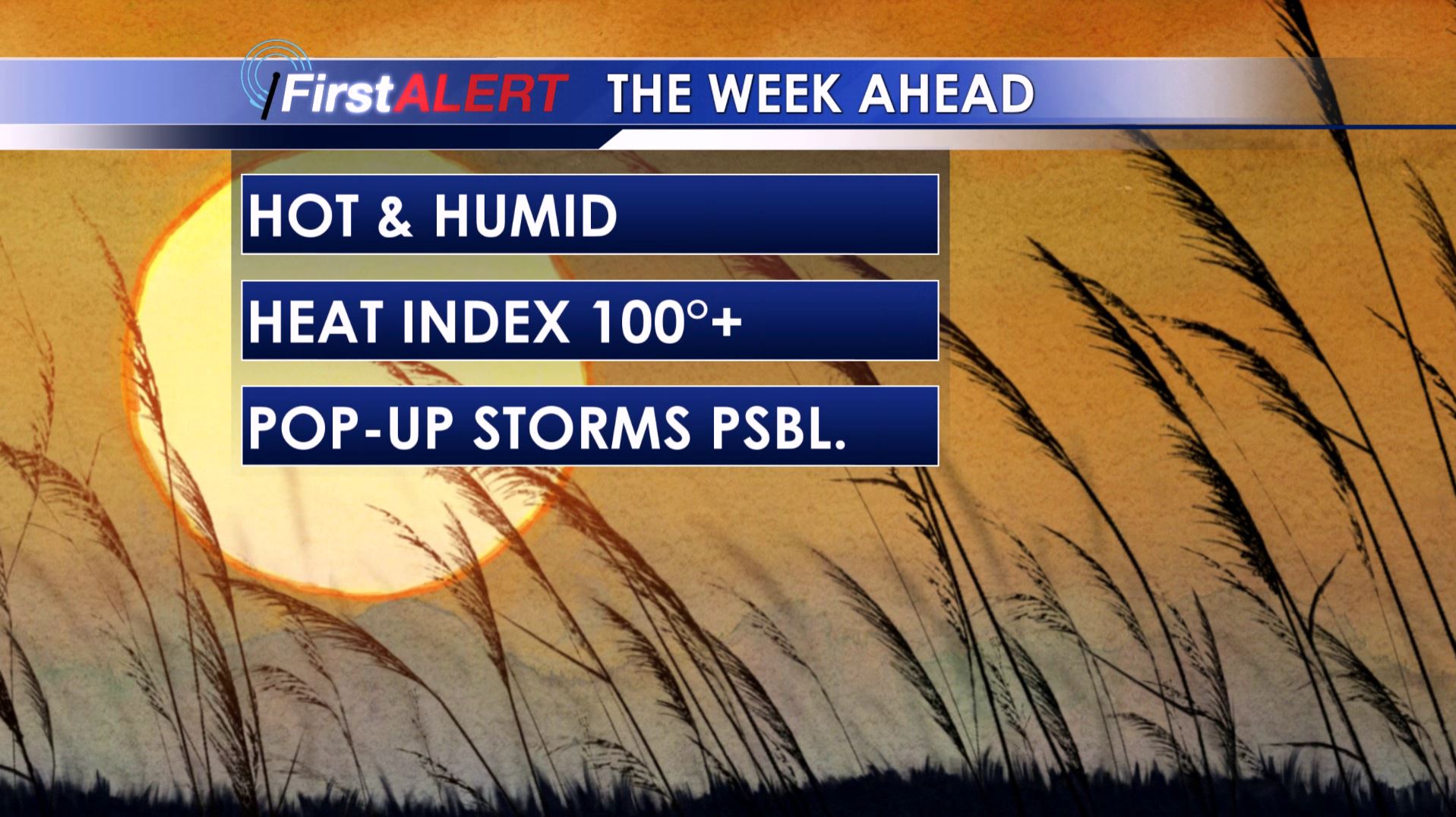 Sweltering Heat and Humidity This Week. - Home - WCBI TV | Your News Leader