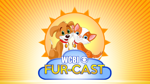 Home - WCBI TV | Your News Leader