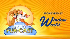 Home - WCBI TV | Your News Leader