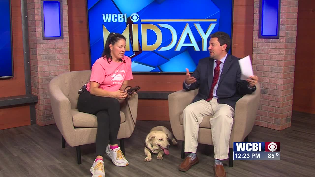 Pets Without Partners - 06/02/03 - Home - WCBI TV | Telling Your Story
