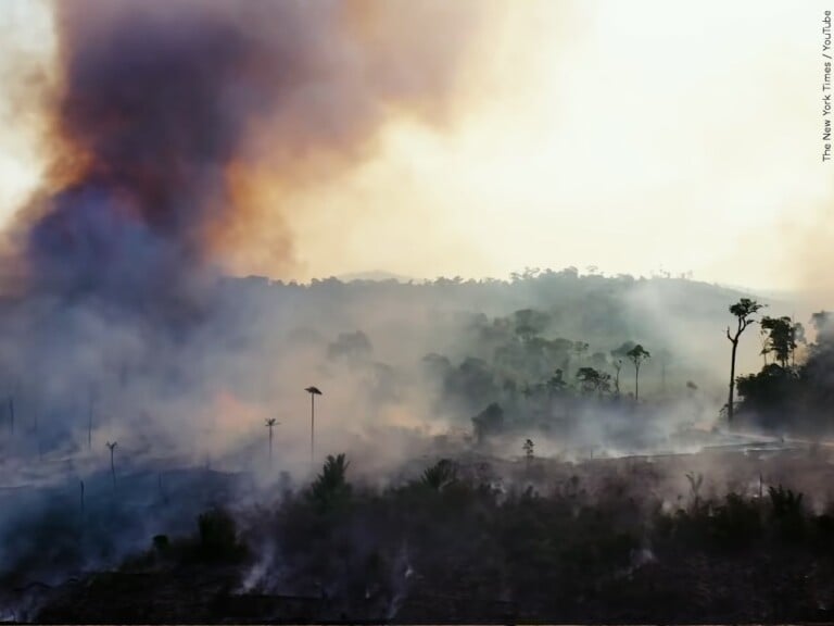 Brazil reports drop in Amazon deforestation rates, pushing back on US ...