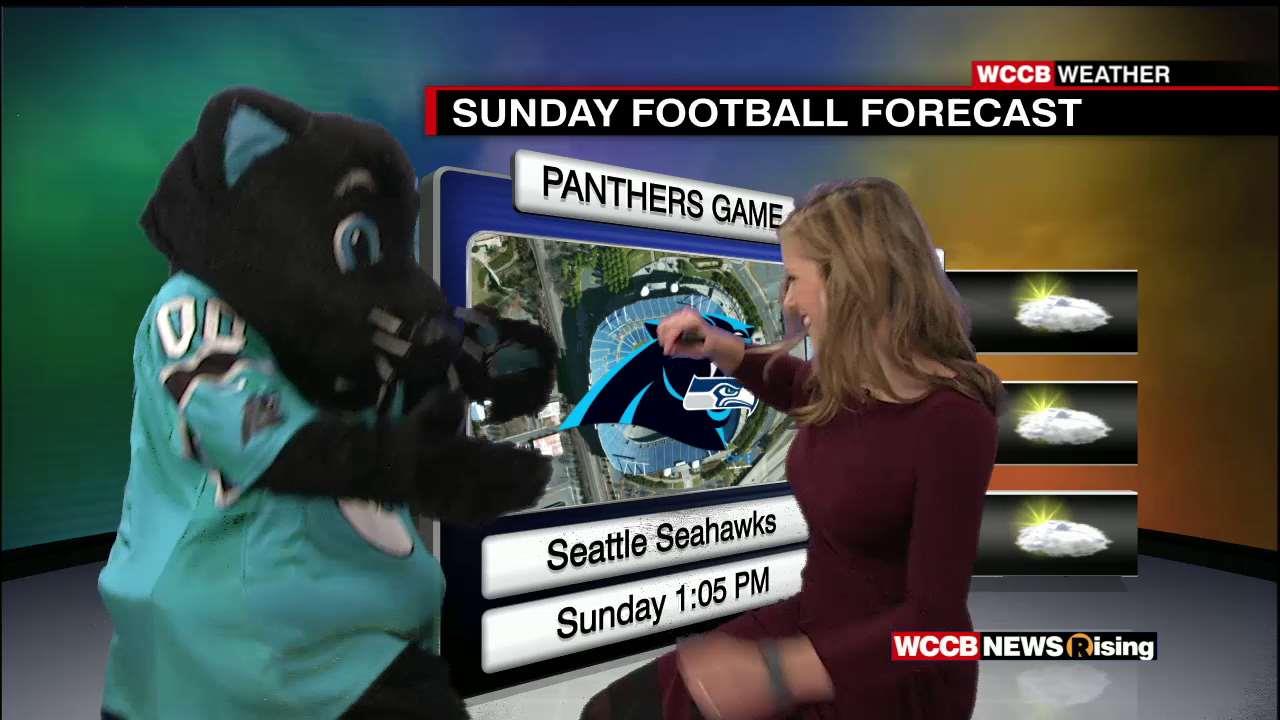 Sir Purr Is Back With Another Fur-cast - WCCB Charlotte's CW