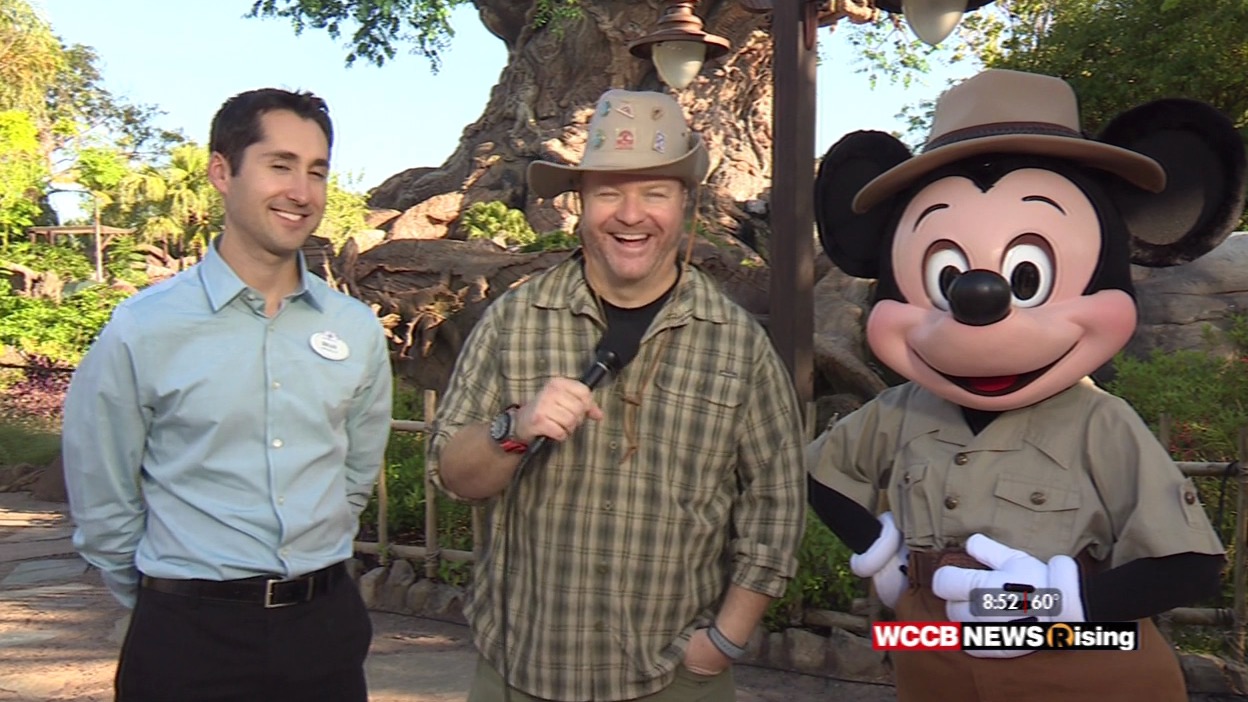 Wilson's World: Awaken Summer At Disney World's Animal Kingdom - WCCB ...